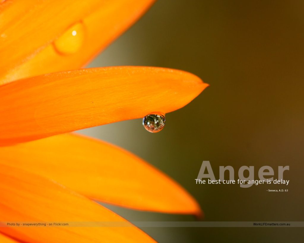 Motivational Wallpaper on Anger : The best cure for Anger is delay ...