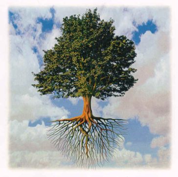 Tree Analogy by Tyler Perry : The Leaf Branch and Root People - Dont ...