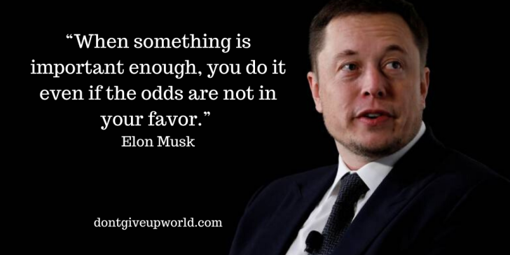 Quote on winning against all odds by Elon Musk - Dont Give Up World