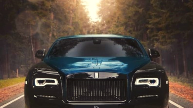 Tree Analogy by Tyler Perry : The Leaf , Branch and Root People - Dont ...