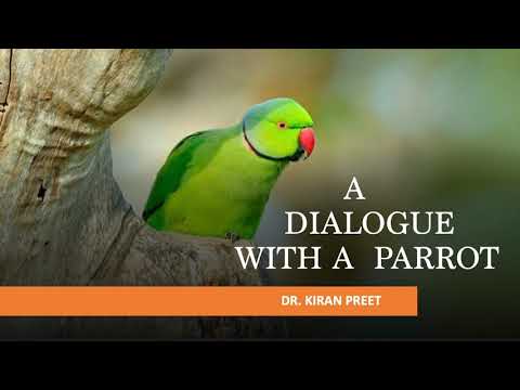 Parrot Poems In English | Sitedoct.org