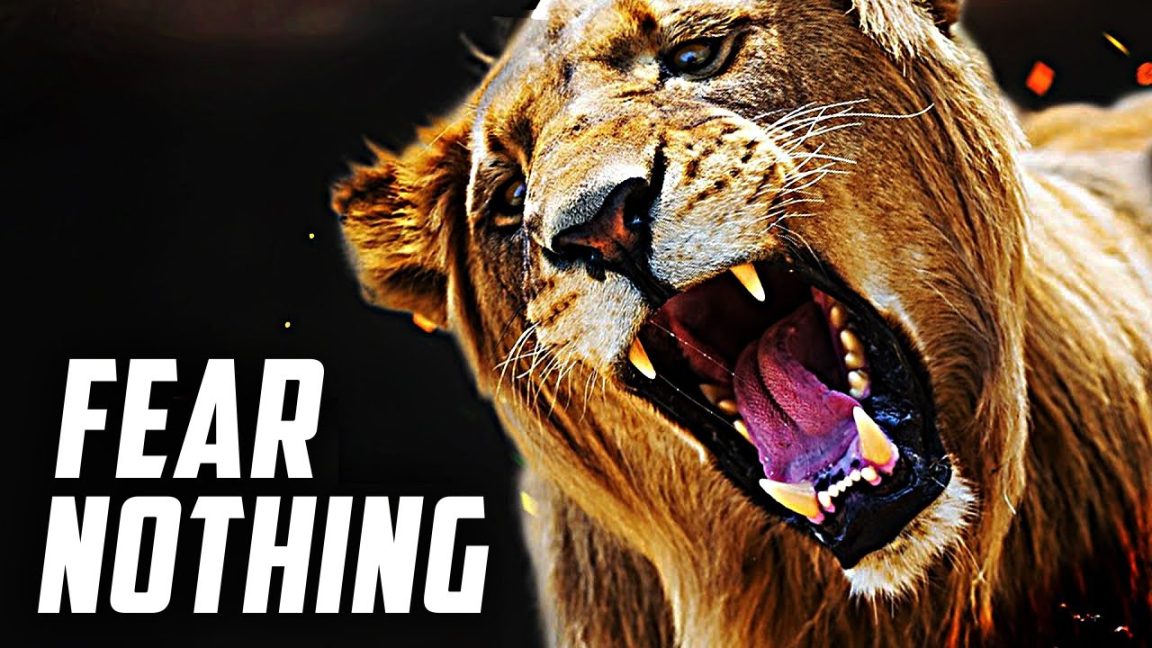 Quote on words are a pretext by Rumi - Dont Give Up World