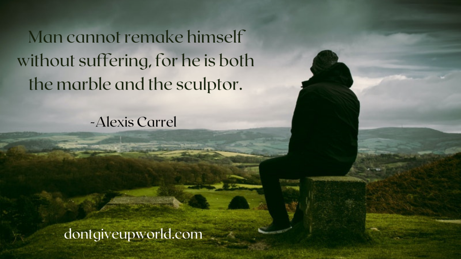 Quote on suffering is learning by Alexis Carrel - Dont Give Up World