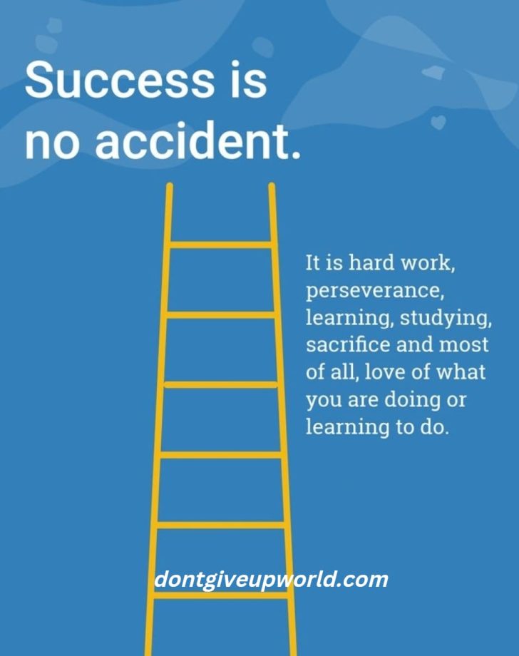 Success is no accident - Dont Give Up World